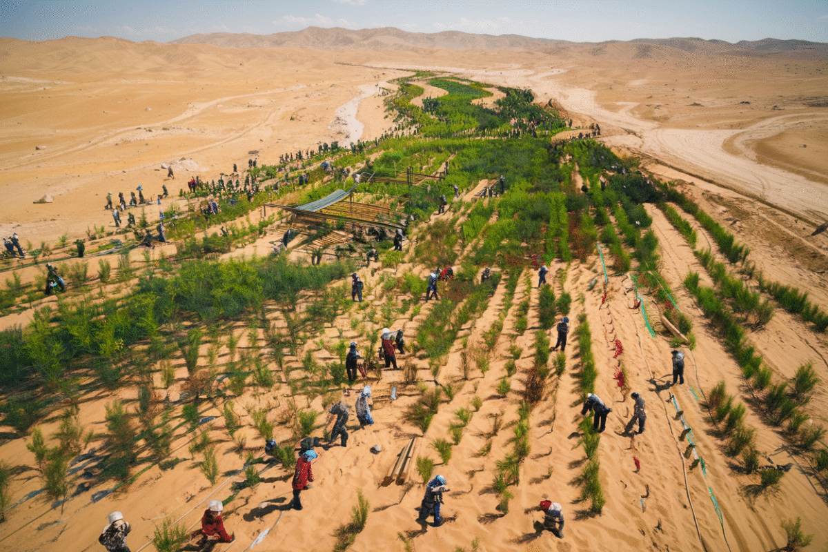 La Chine mobilise 600 000 personnes pour transformer le désert de ...